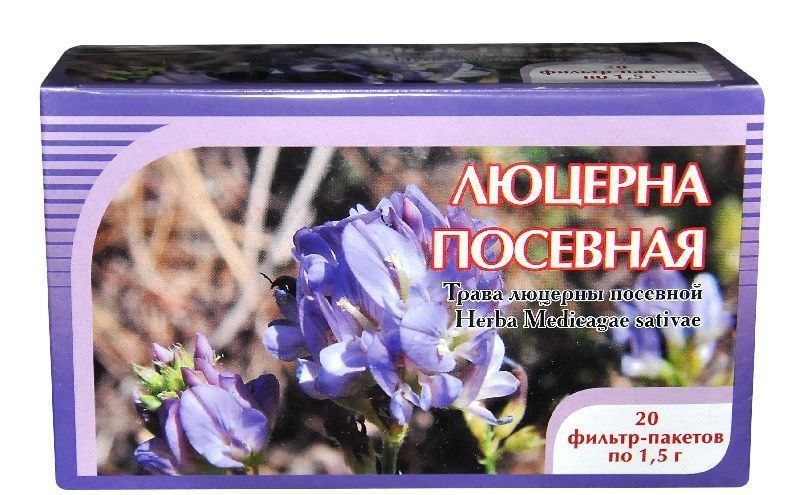 Люцерна посевная (alfalfa): полезные свойства алфалфа, применение в ...